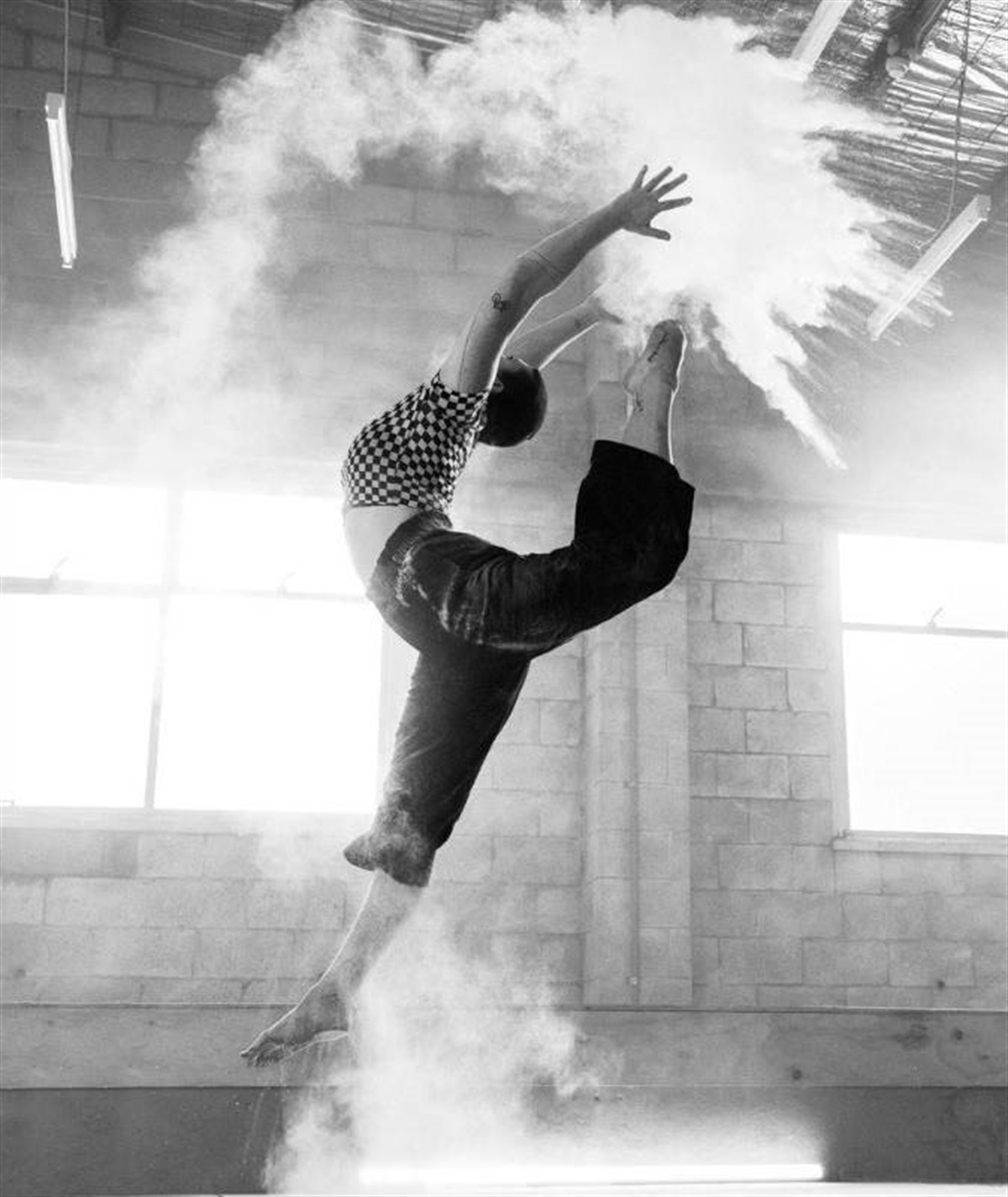 Albatross by Blindful | City of Unley